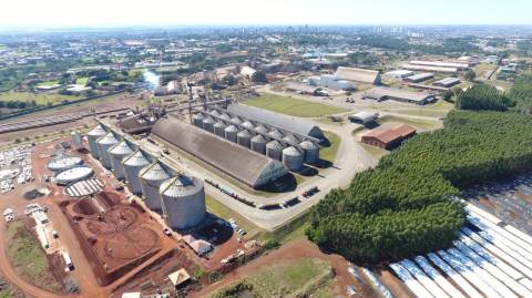 Cocamar anuncia R$ 107 milhões em sobras aos cooperados - Grupo Amanhã